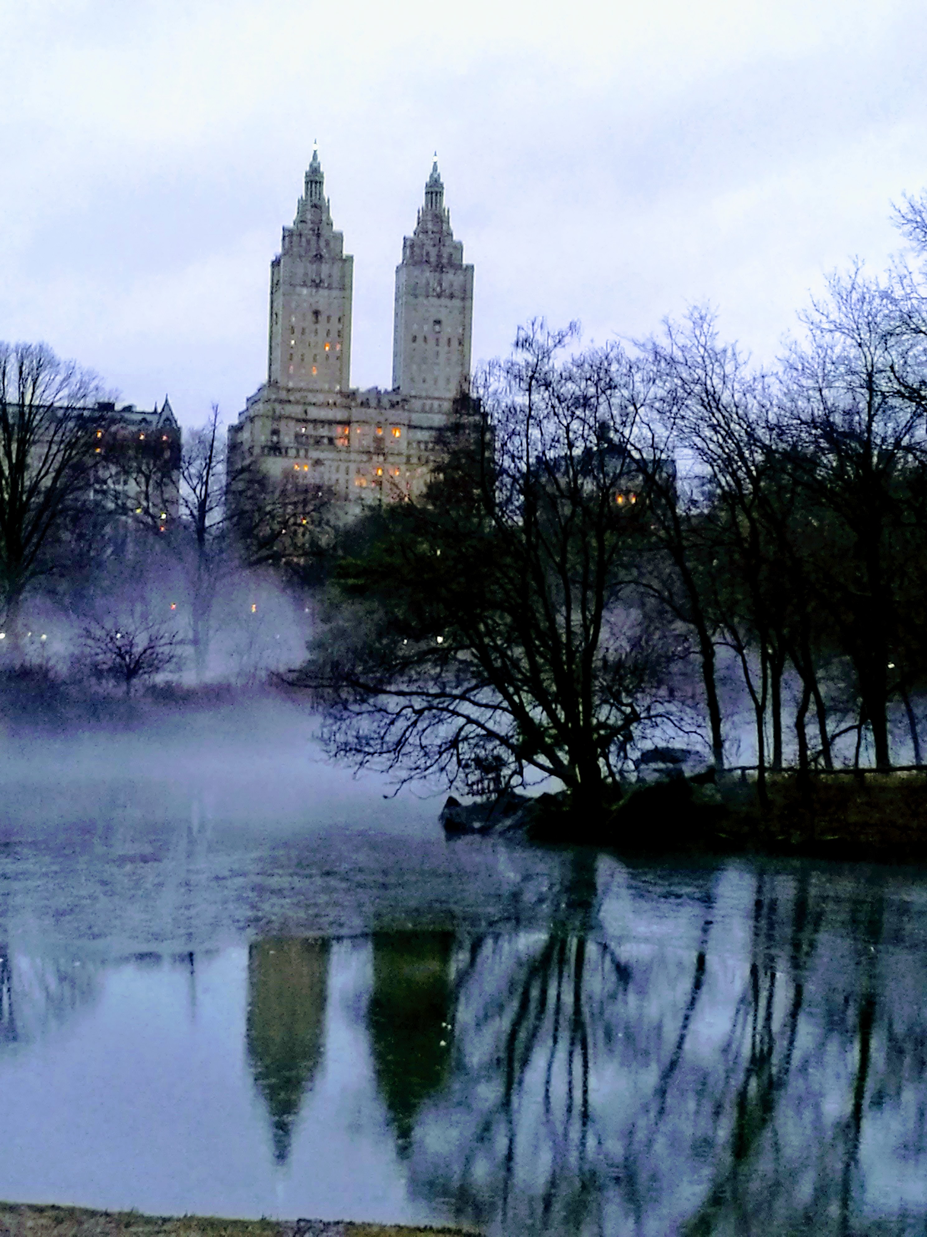 Central Park de New York en invierno - Bahía César