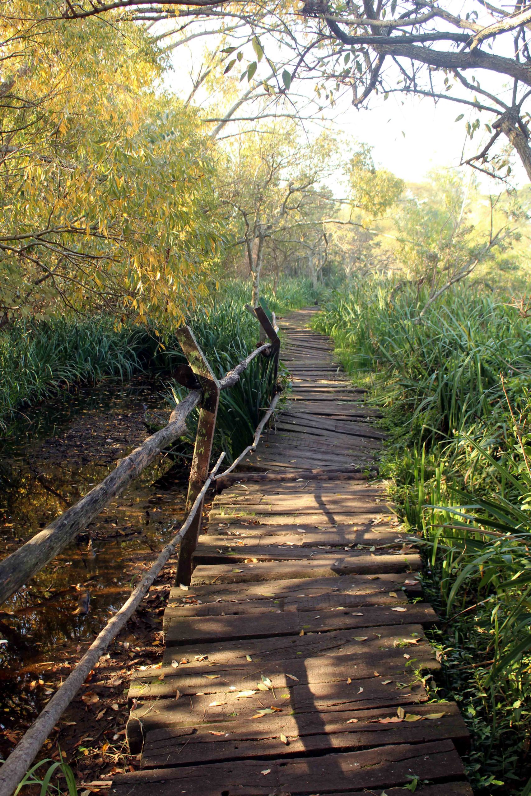 Senderos en el parque natural Ribera Norte, Acassuso, Buenos Aires ...