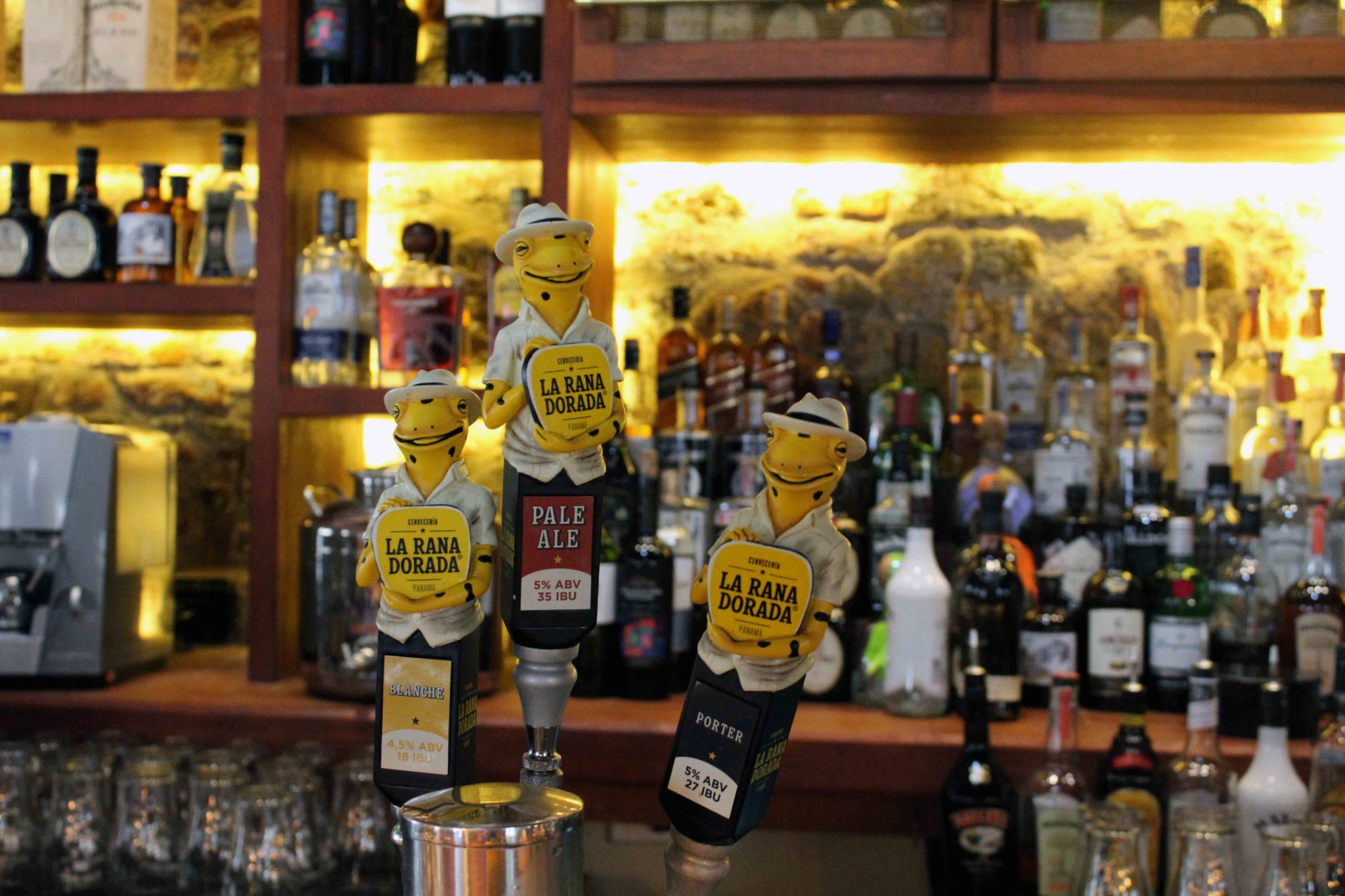 "La rana dorada", un pub de cerveza en Argentina a 5.300 km de Buenos ...